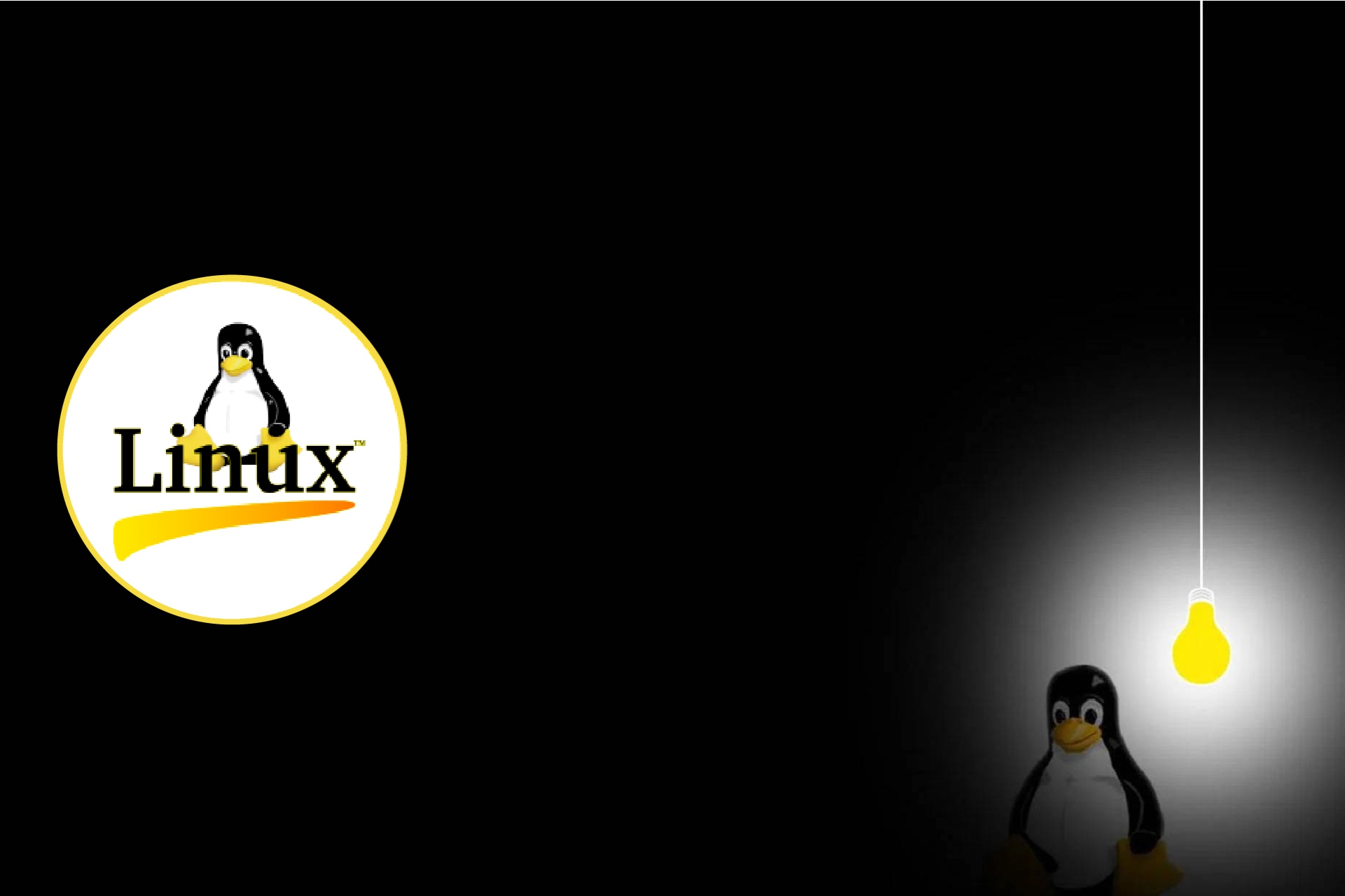 Best Cloud Computing | Cisco CCNA | CCNP | SD-WAN | Nexus 9K (ACI ...